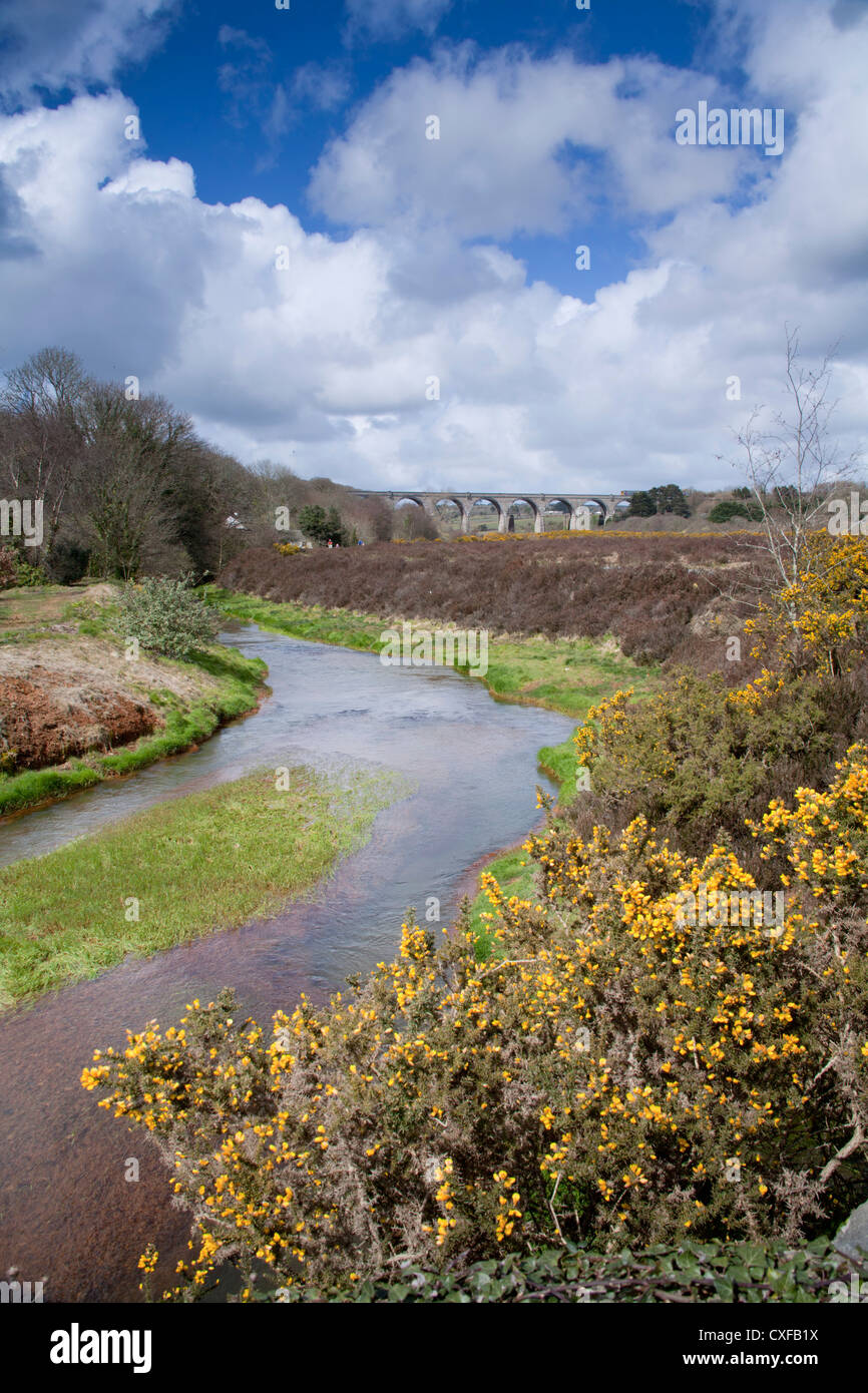 Bissoe Valley; cornwall; UK; spring Stock Photo - Alamy