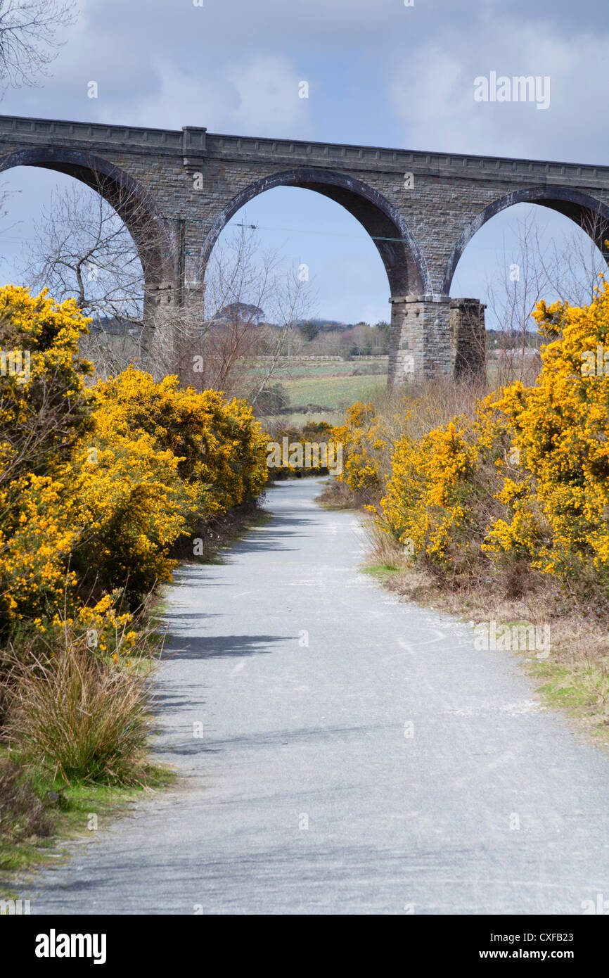 Cornish viaduct hi-res stock photography and images - Alamy