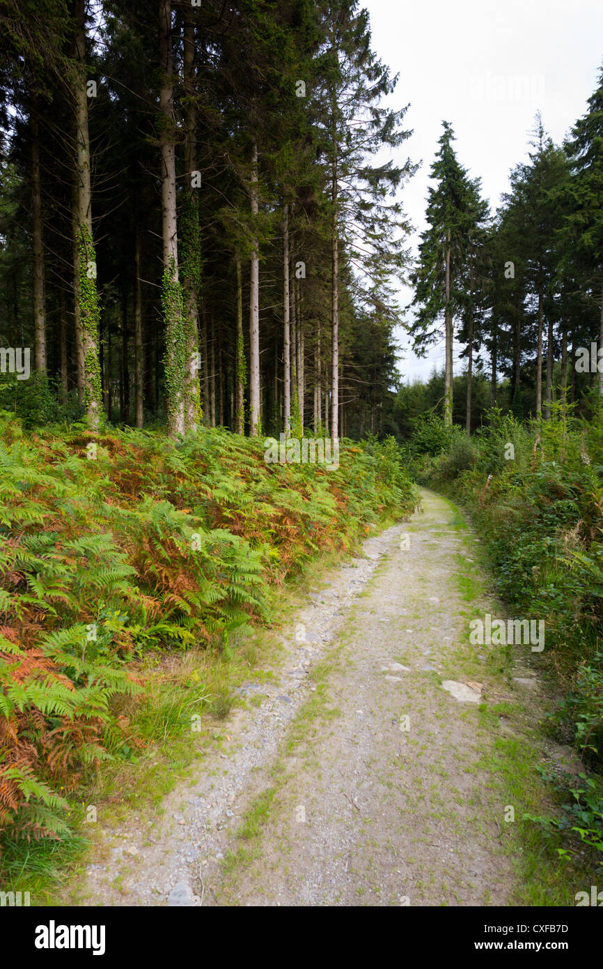 Ladock Stock Photos & Ladock Stock Images - Alamy