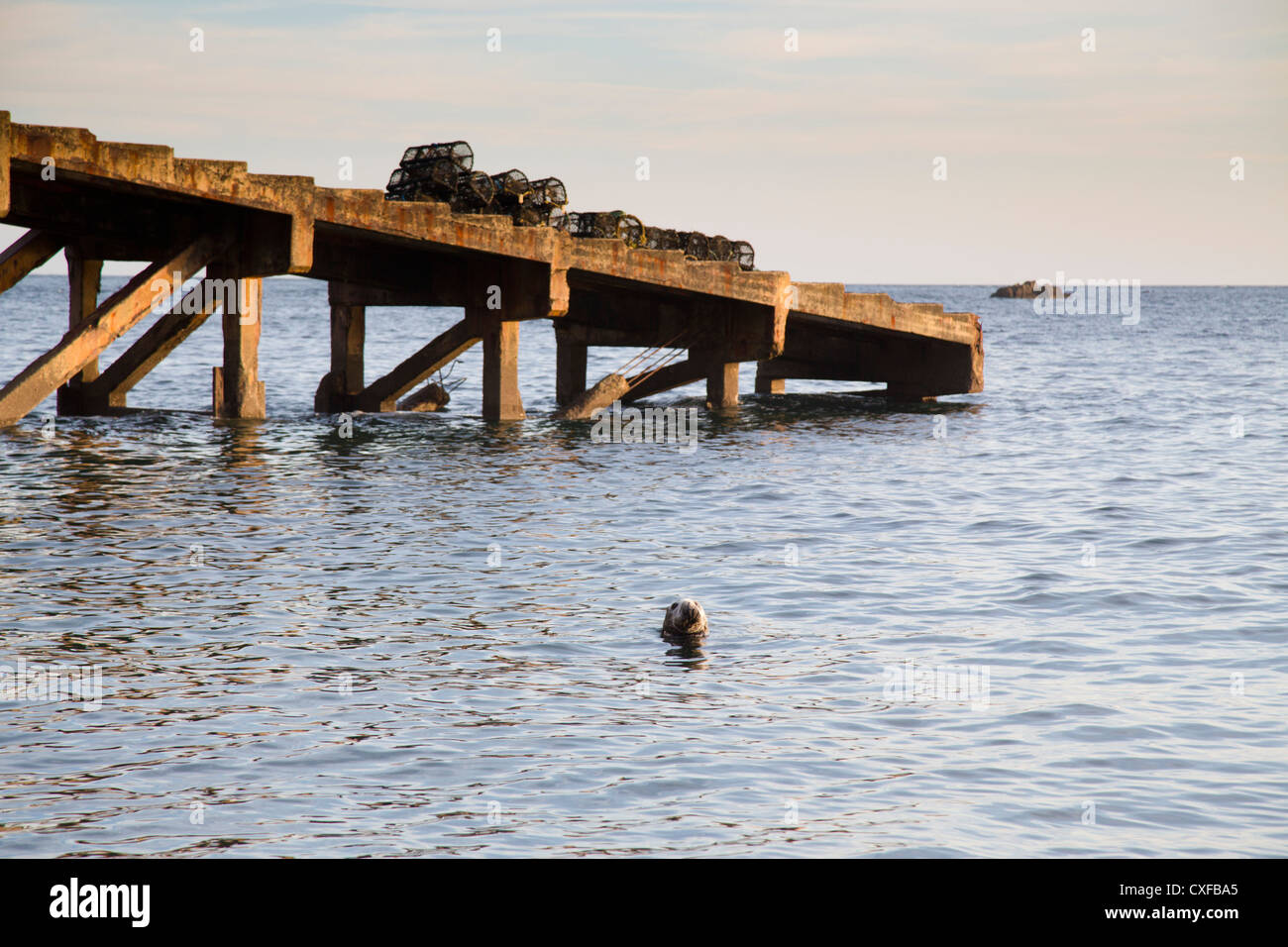 Slipway; Lizard Point; Cornwall; UK; sunset Stock Photo - Alamy