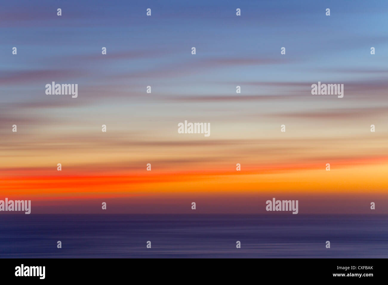 Lizard sunset hi-res stock photography and images - Alamy