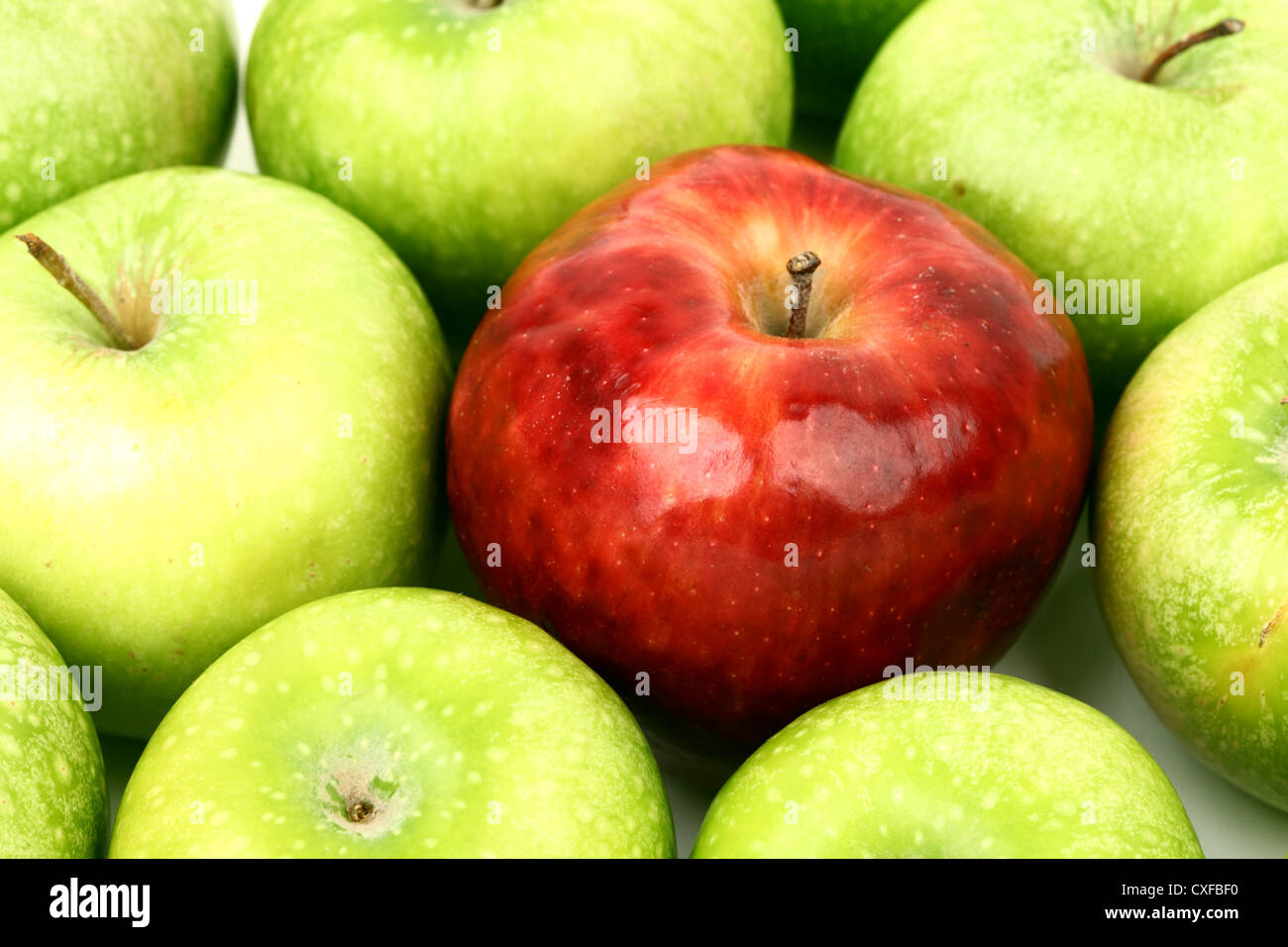 High stem apple tree hi-res stock photography and images - Alamy