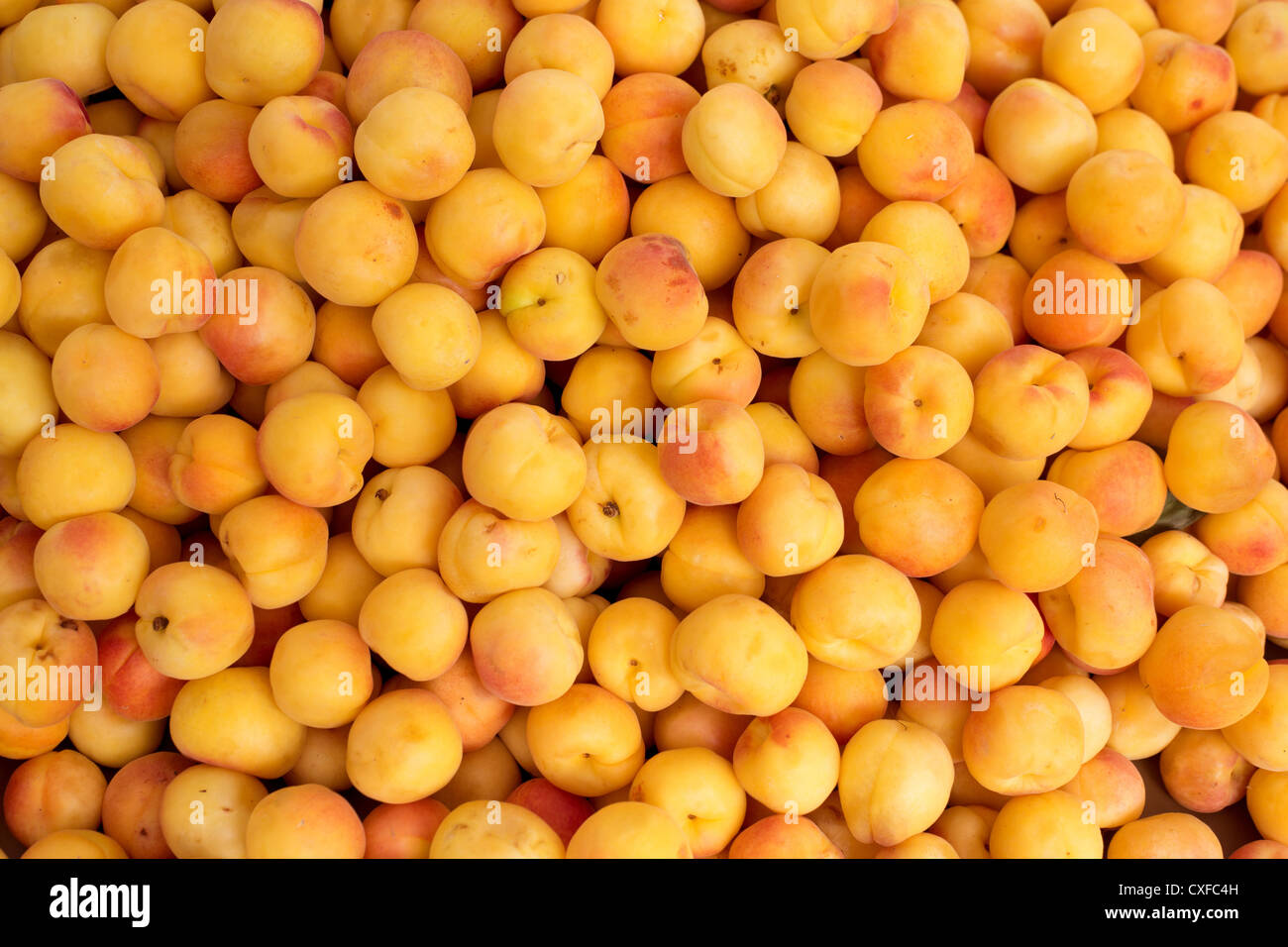 Apricot texture hi-res stock photography and images - Alamy