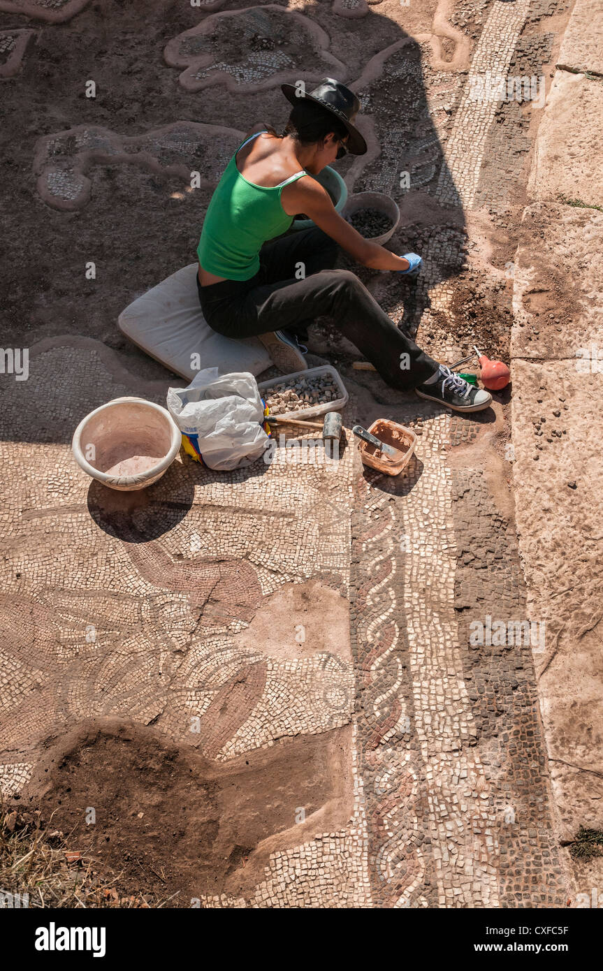 Archaeologist at work hi-res stock photography and images - Alamy