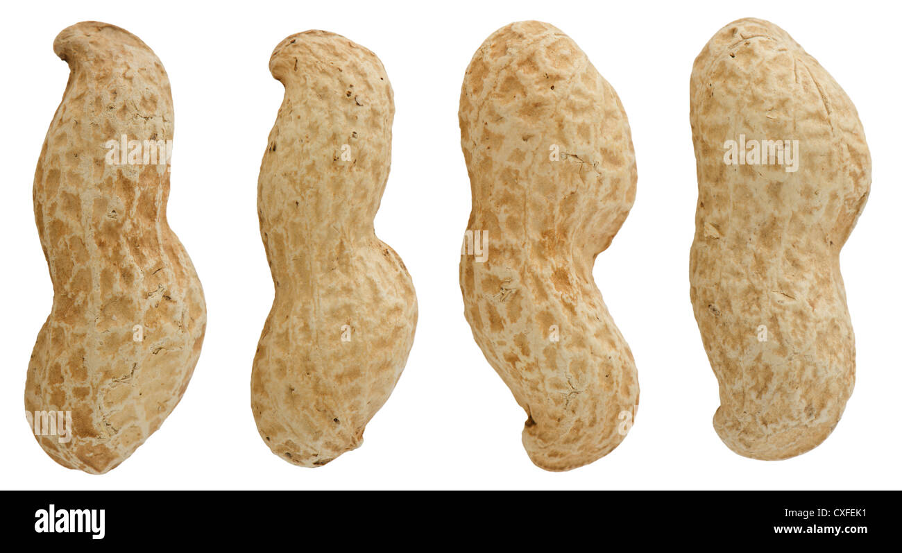 Peanuts isolated on white background Stock Photo - Alamy