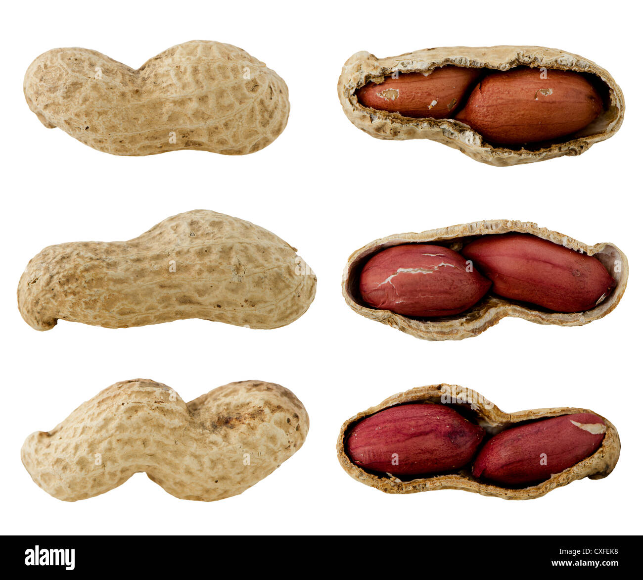 Peanuts isolated on white background Stock Photo - Alamy