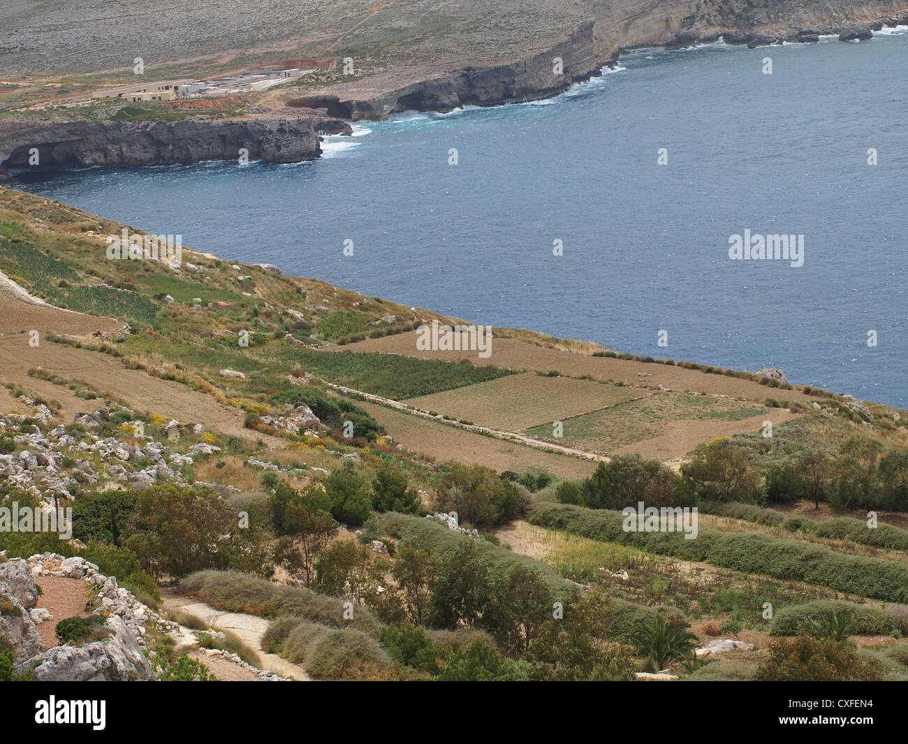 A nice field above the sea Stock Photo - Alamy