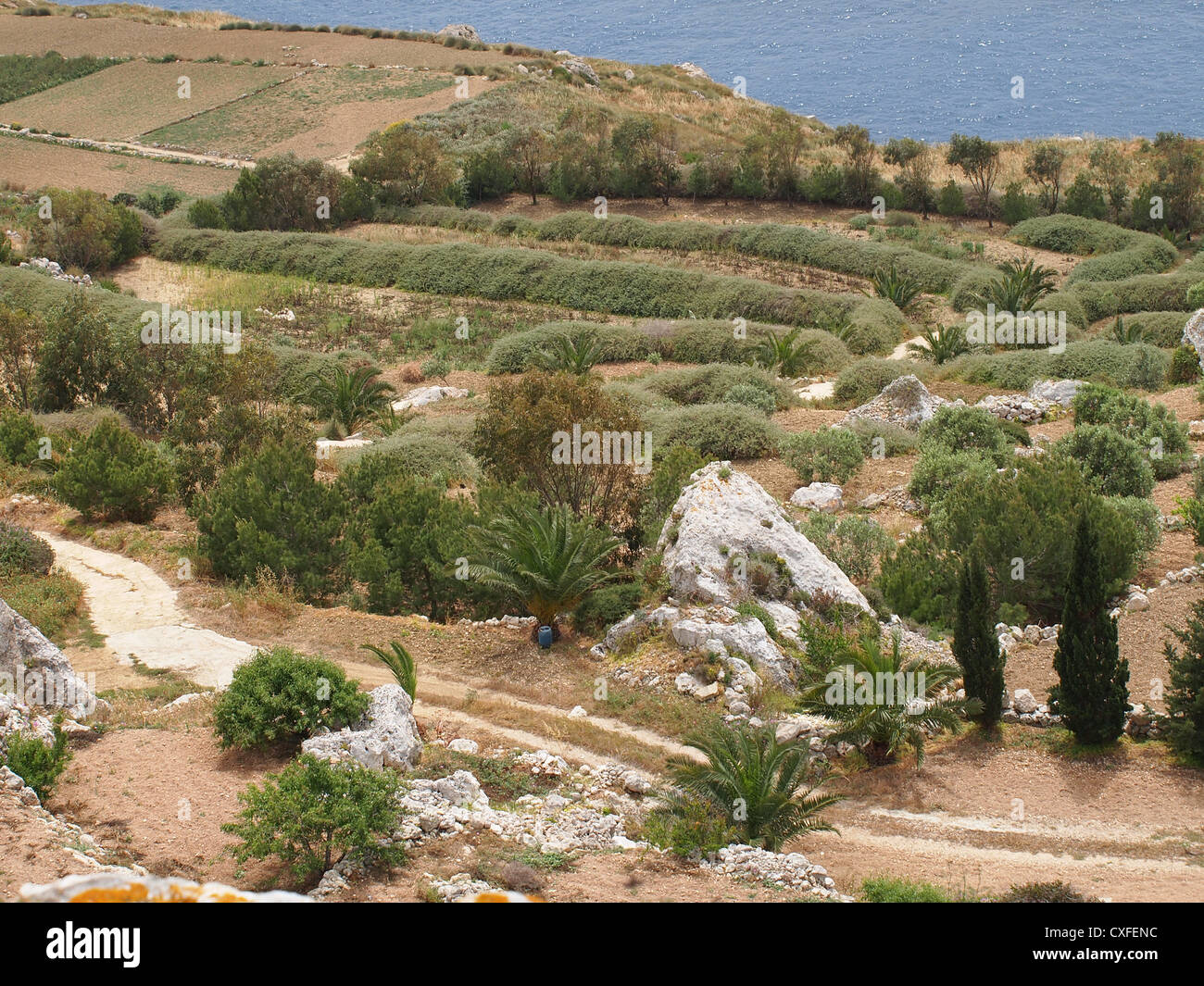 A nice field Stock Photo - Alamy