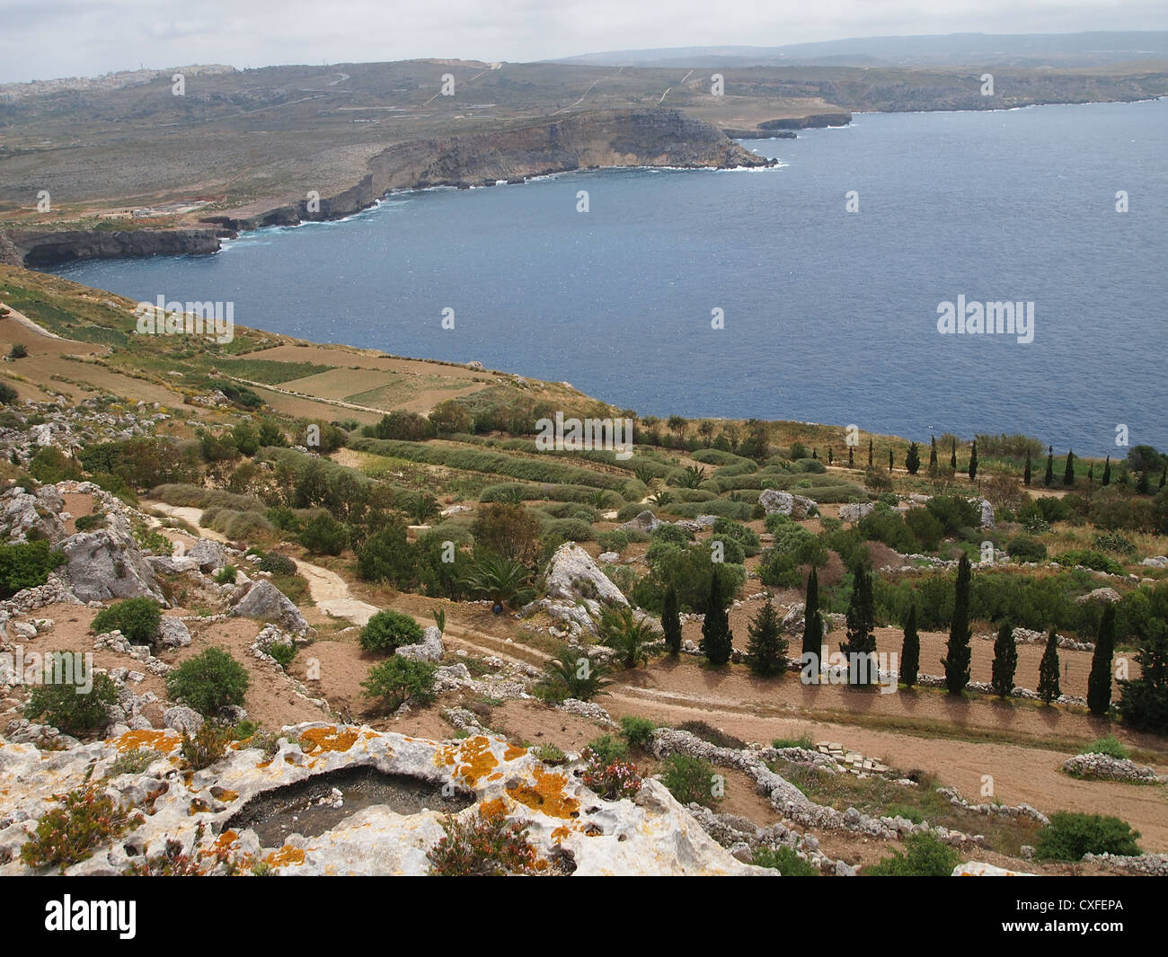 An interesting meadow above the sea Stock Photo - Alamy