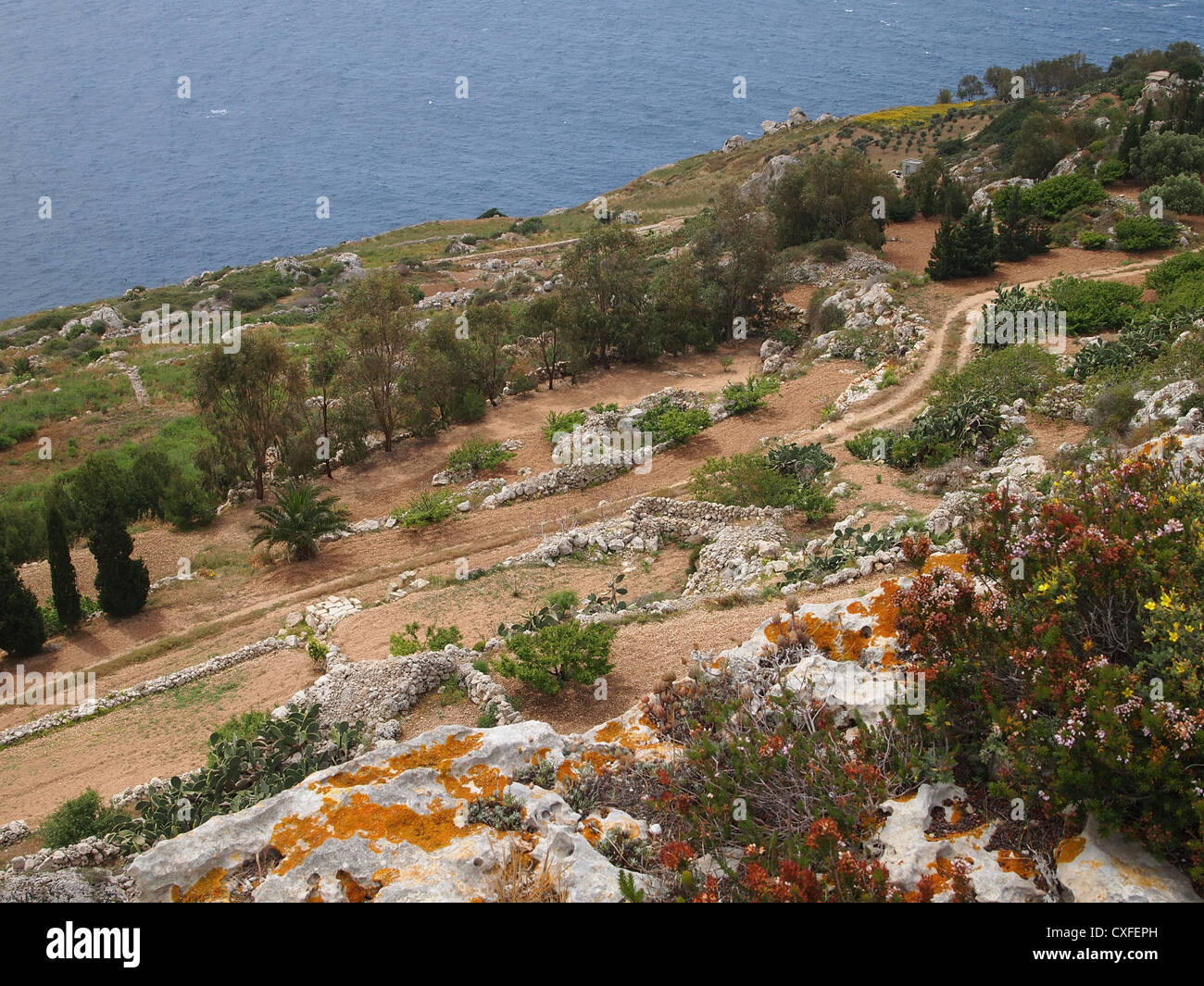 An interesting field Stock Photo - Alamy