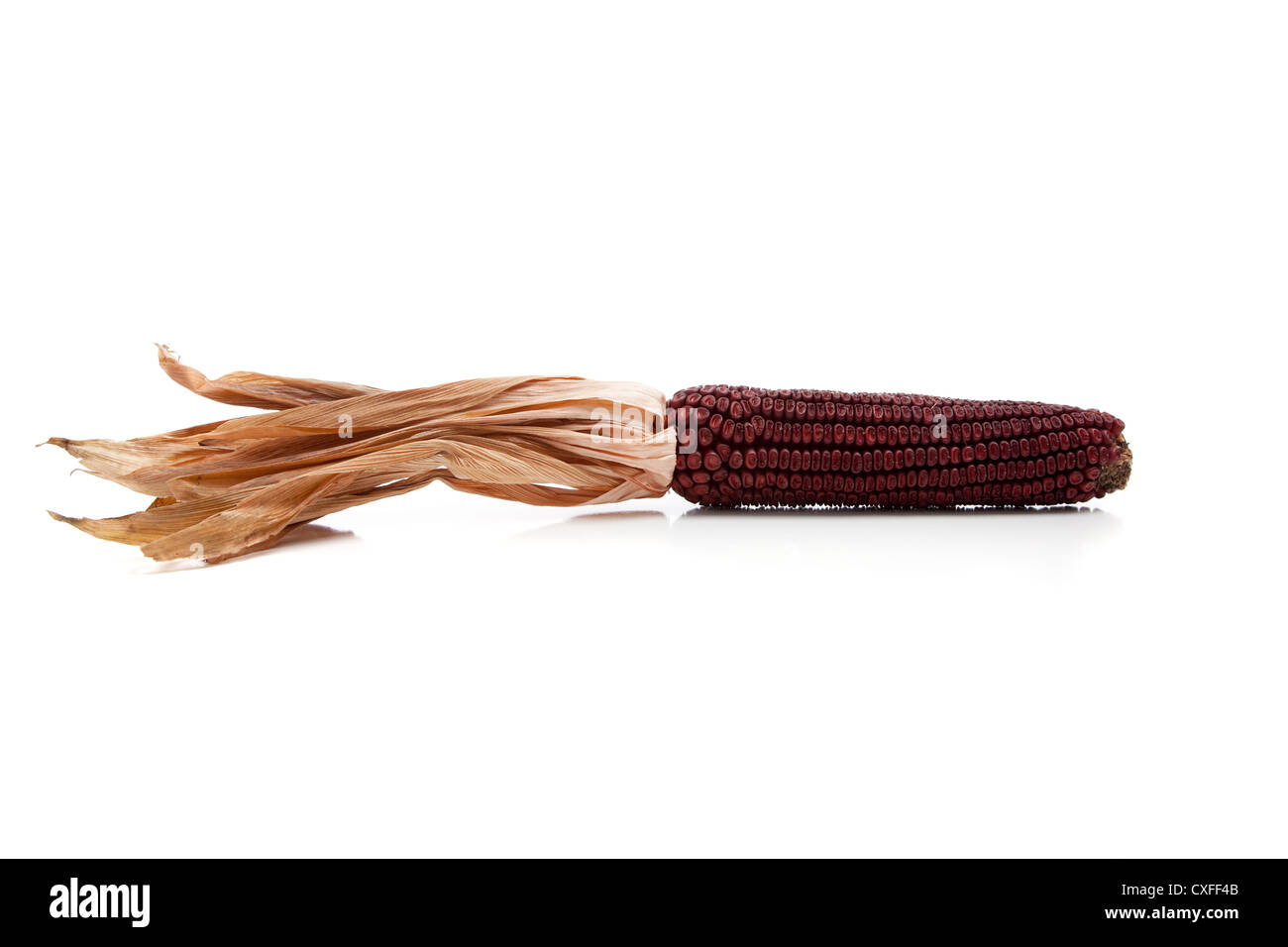Red Indian corn Stock Photo - Alamy
