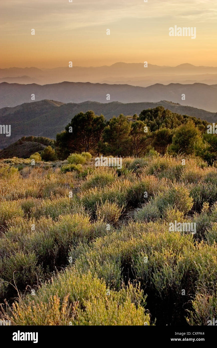 Parque natural de los montes de malaga hi-res stock photography and ...