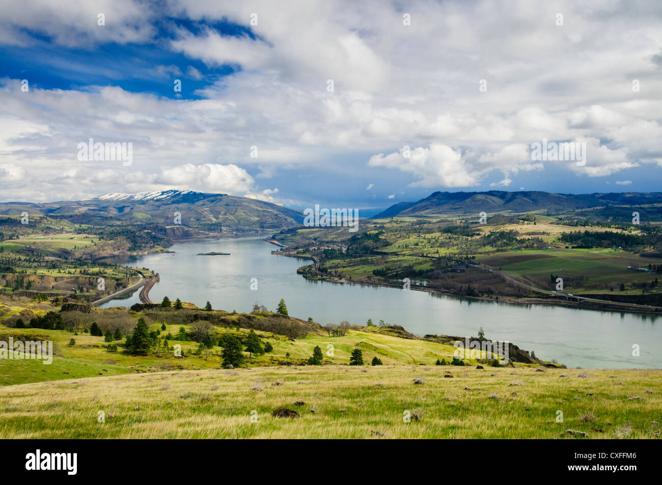 Columbia River Gorge from Coyote Wall Trail, Washington Stock Photo - Alamy
