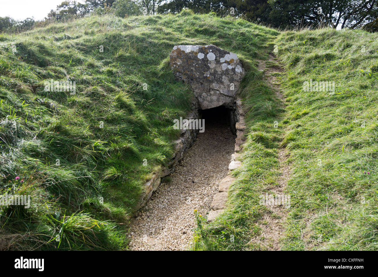 Uley Long Barrow (Hetty Pegler's Tump) - entrance Stock Photo - Alamy