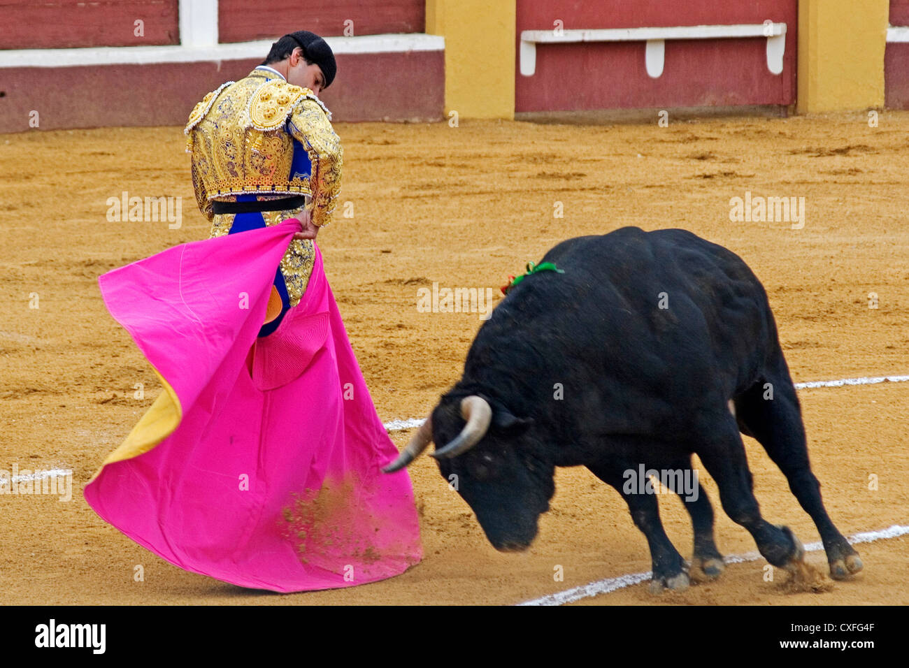 bullfight bullfighter bullring spain torero corrida de toros plaza de ...