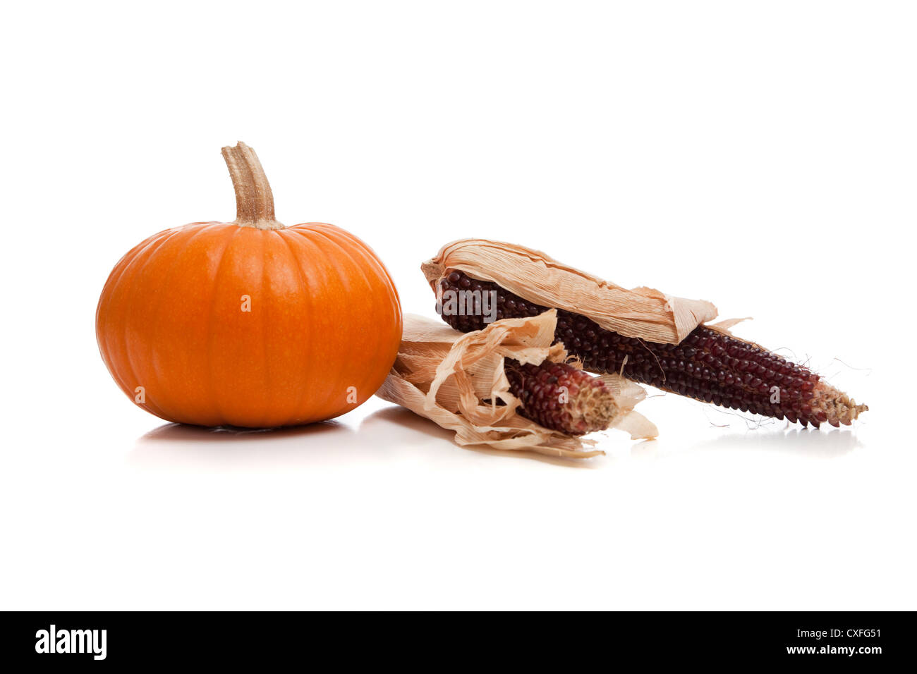 Background golden indian corn Cut Out Stock Images & Pictures - Alamy