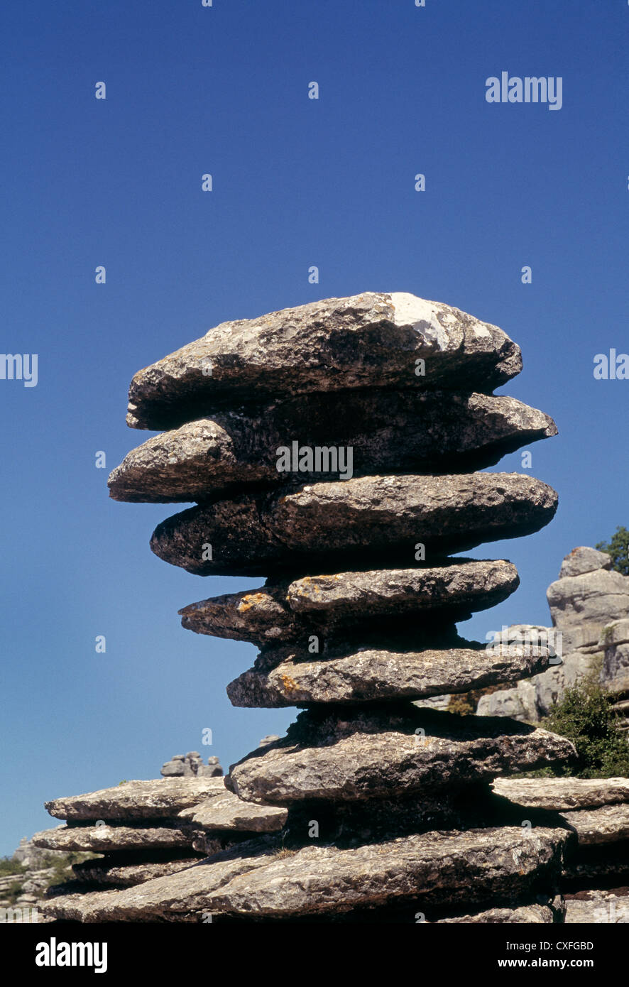 Historia historica naturaleza hi-res stock photography and images - Alamy