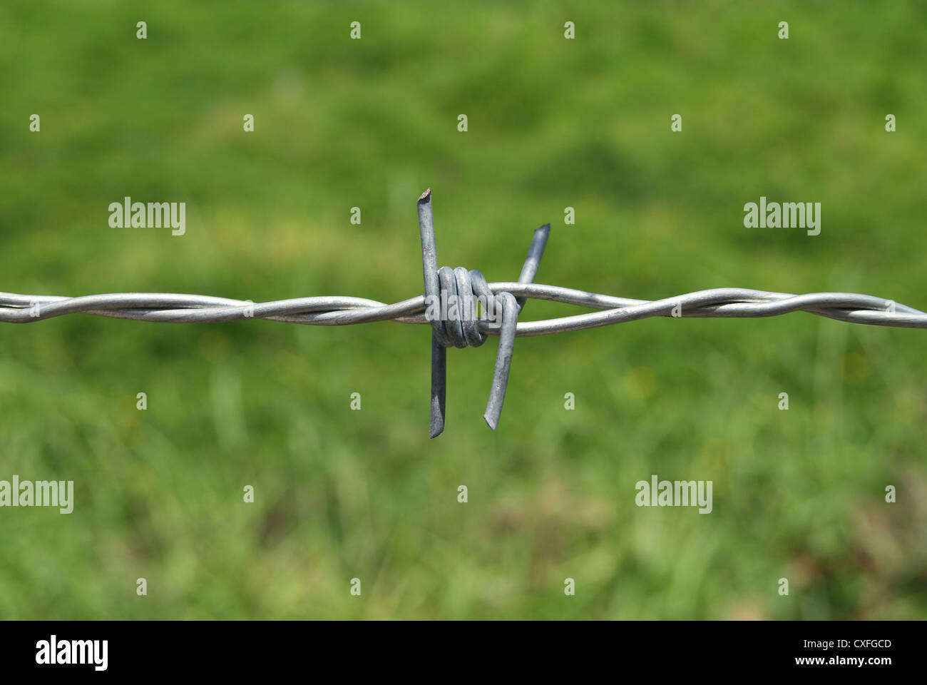 Barbed barb spiral hi-res stock photography and images - Alamy
