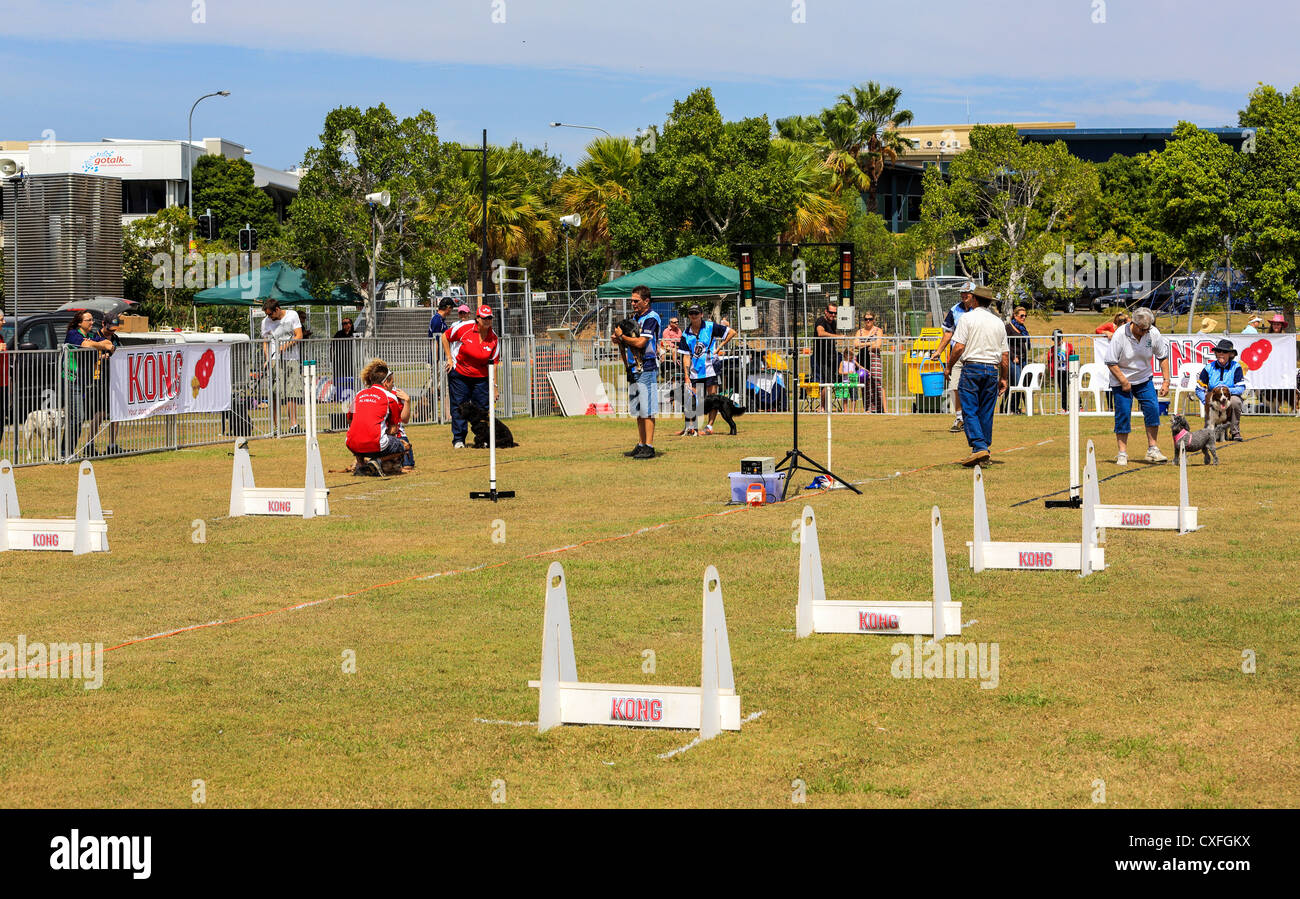 Dogs show their paces at hurdle relay race at The tenth annual Gold ...