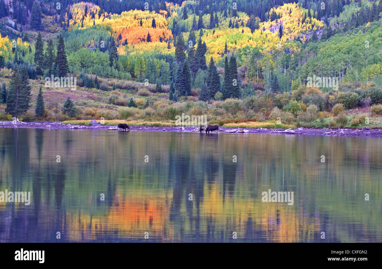 Colorado maroon bells fishing hi-res stock photography and images - Alamy