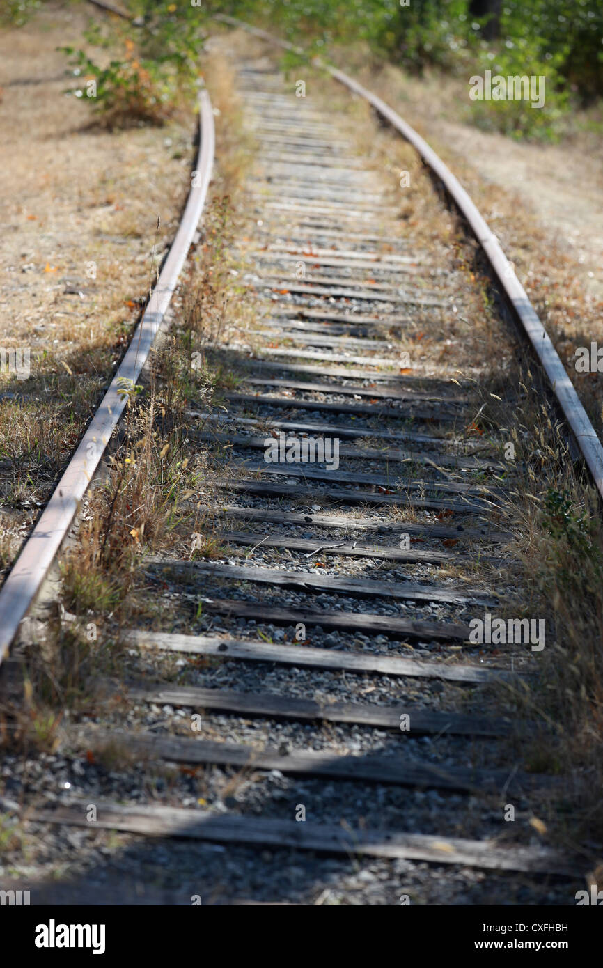Overgrown railway tracks hi-res stock photography and images - Alamy