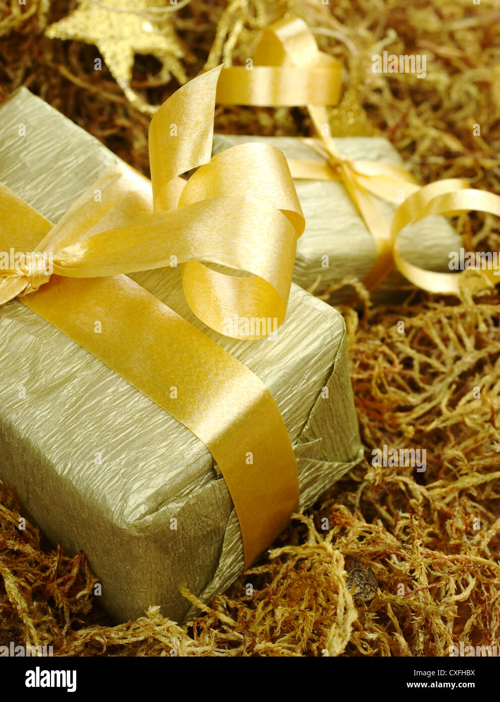 Brown moss hi-res stock photography and images - Alamy