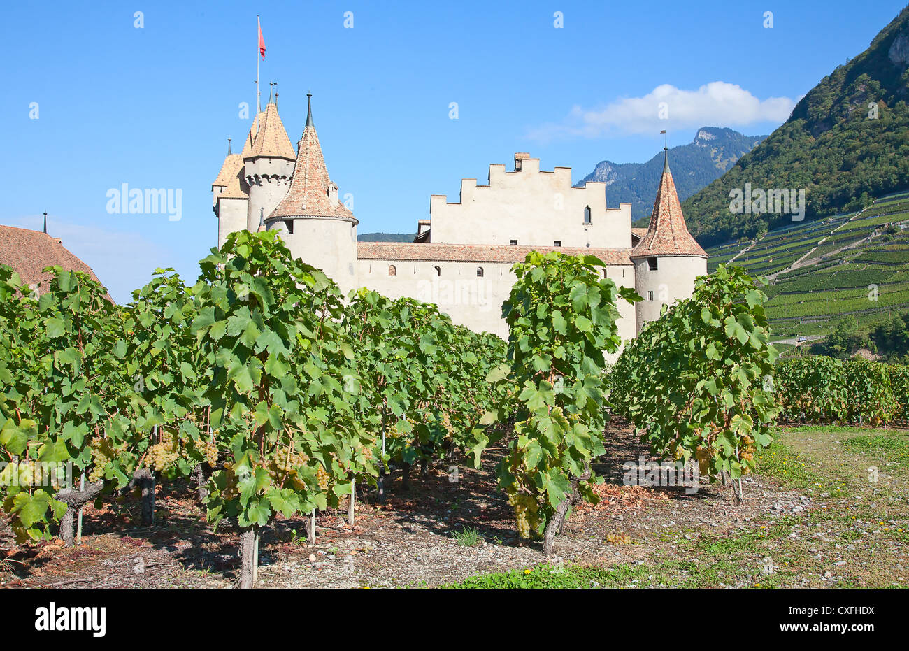 Famous castle Chateau d'Aigle in canton Vaud, Switzerland Stock Photo ...