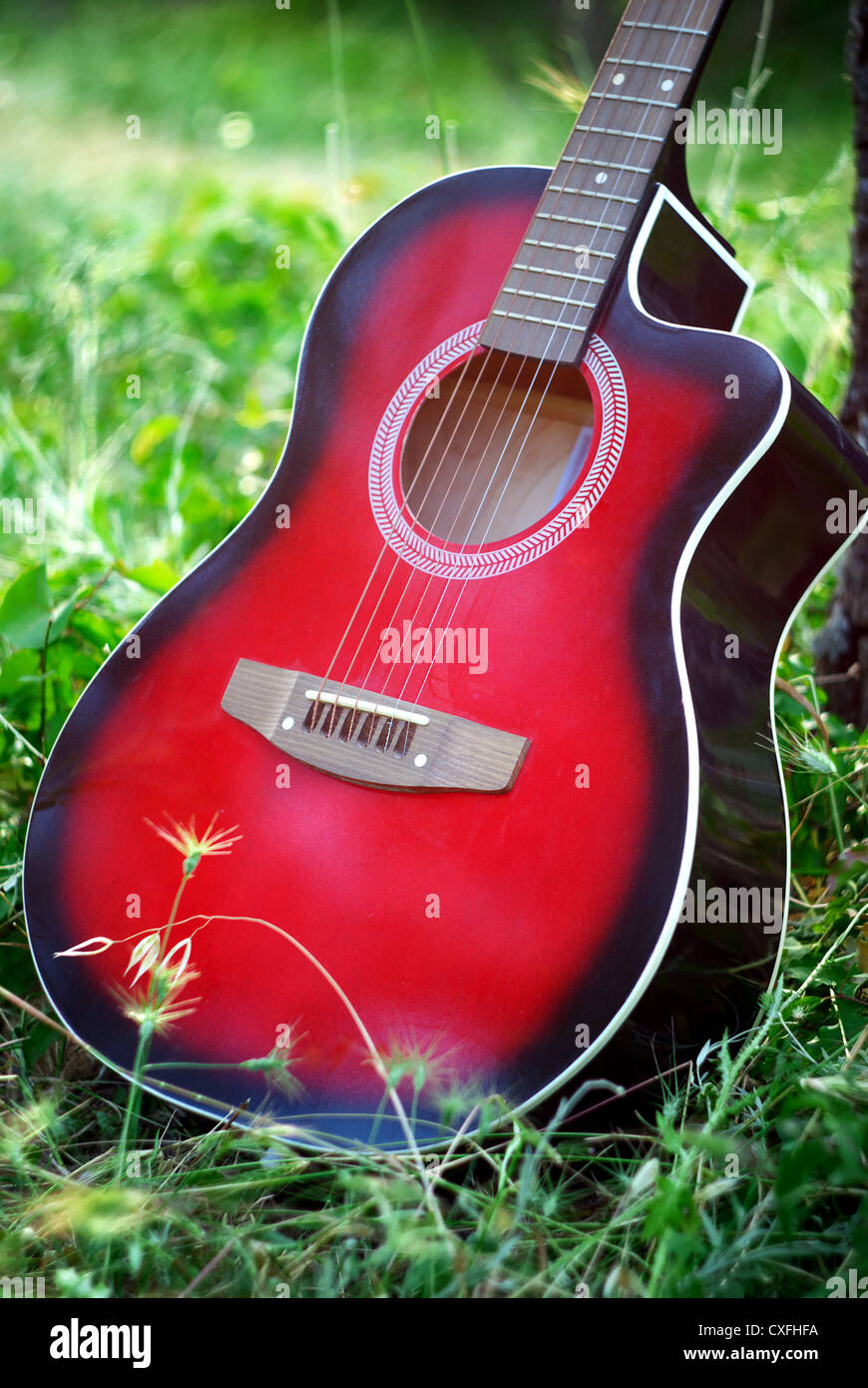 Guitar in forest. Element of design Stock Photo - Alamy