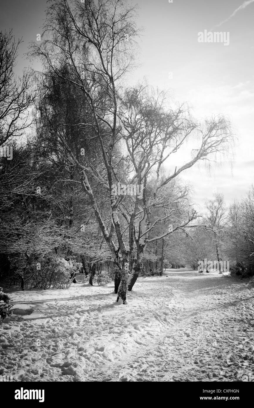 In sutton coldfield Black and White Stock Photos & Images - Alamy