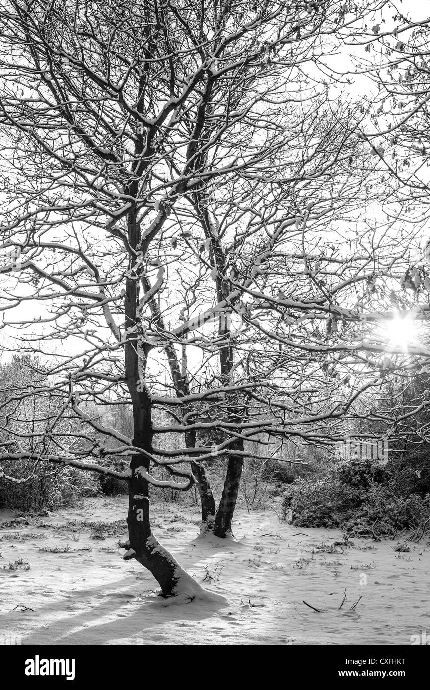 In sutton coldfield Black and White Stock Photos & Images - Alamy