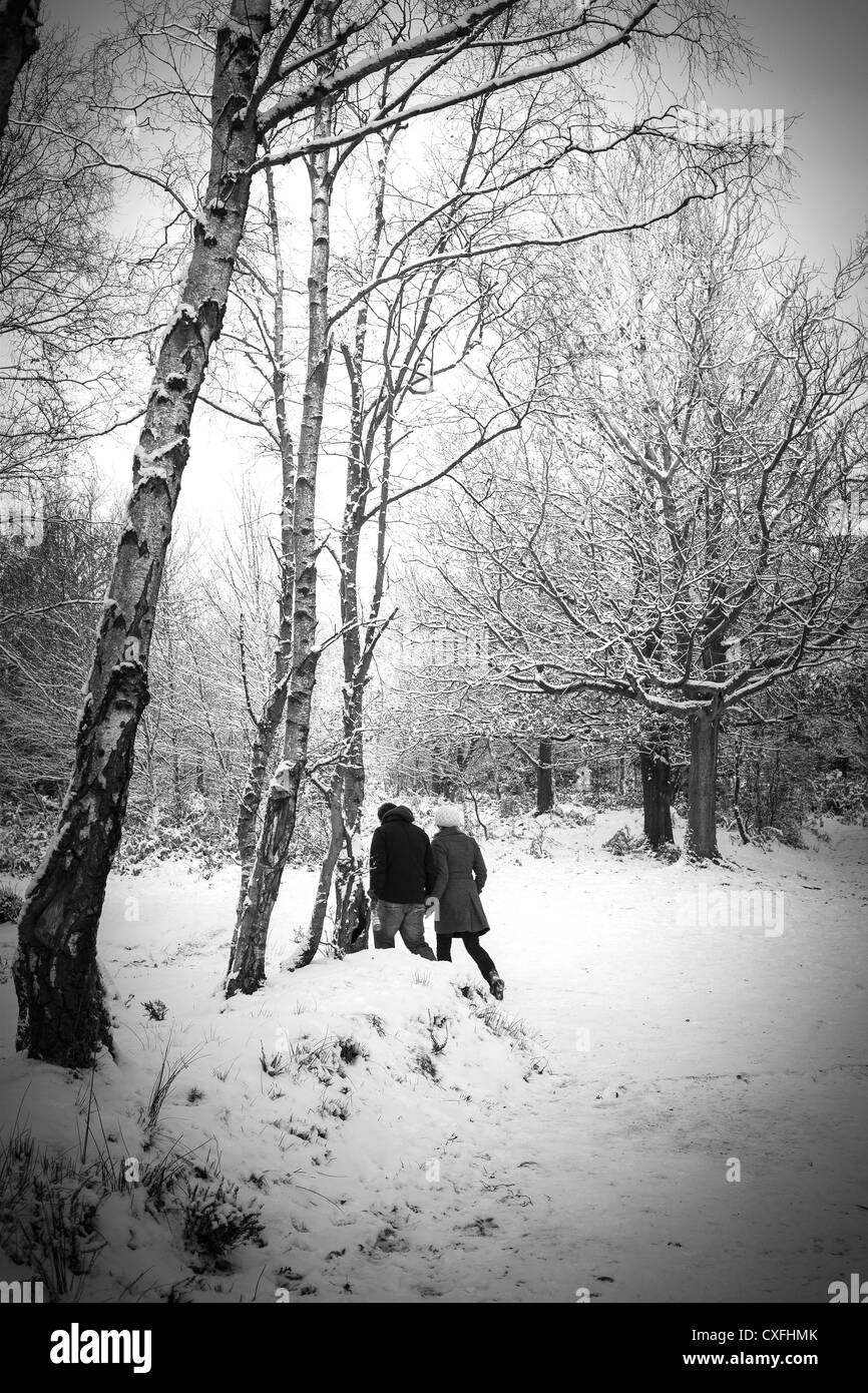 Sutton Coldfield park in snow Stock Photo - Alamy