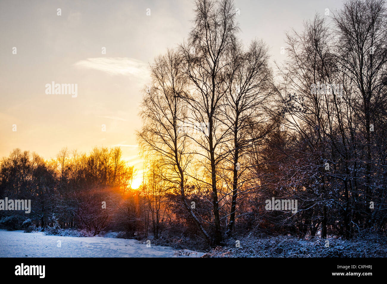 Sutton in the snow hi-res stock photography and images - Alamy