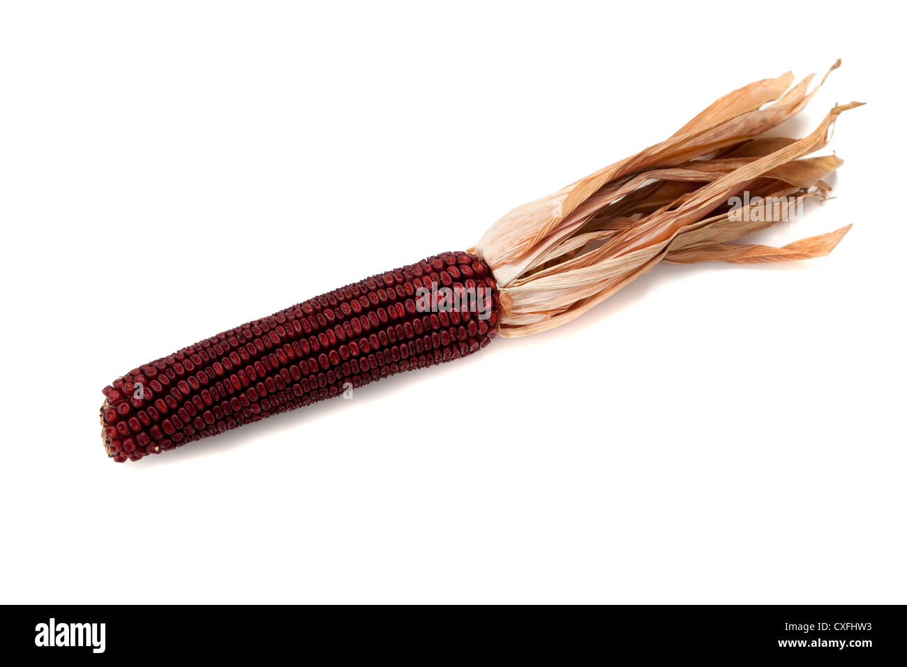 An ear of red Indian corn on a white background Stock Photo - Alamy