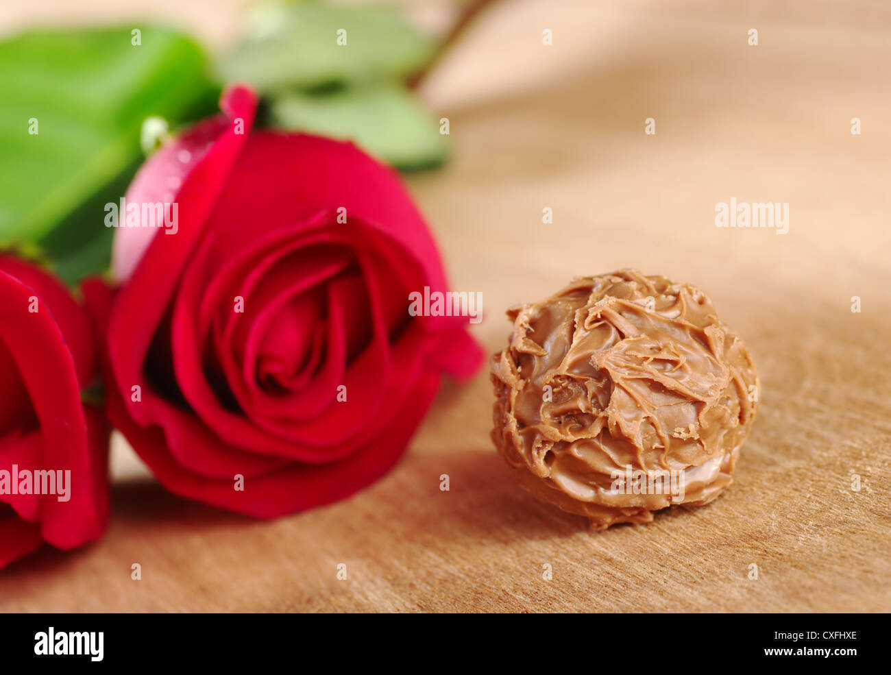 Truffle with red rose on wooden board (Very Shallow Depth of Field ...