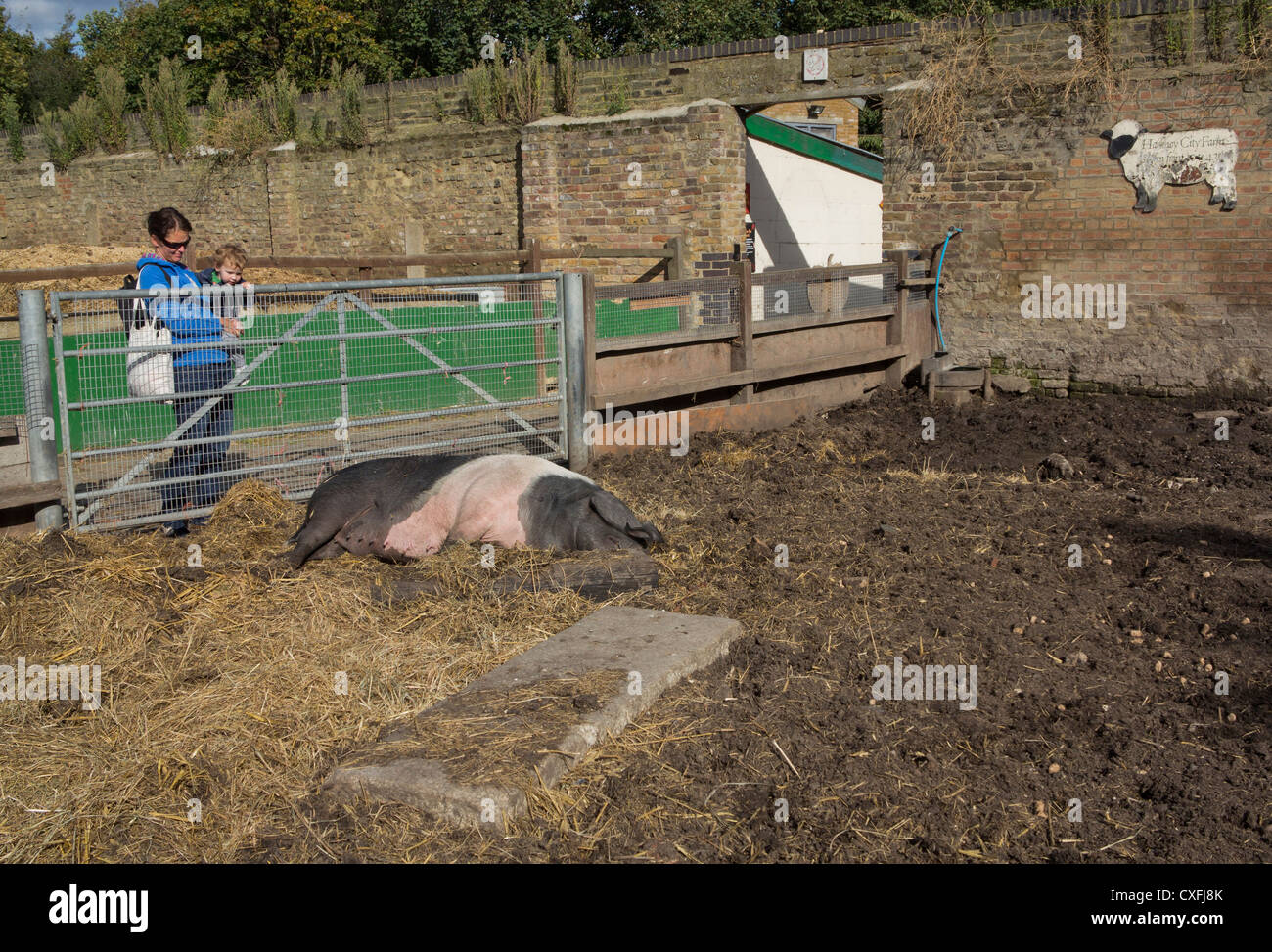 Mother and daughter watch animals during visit to the Hackney City Farm ...