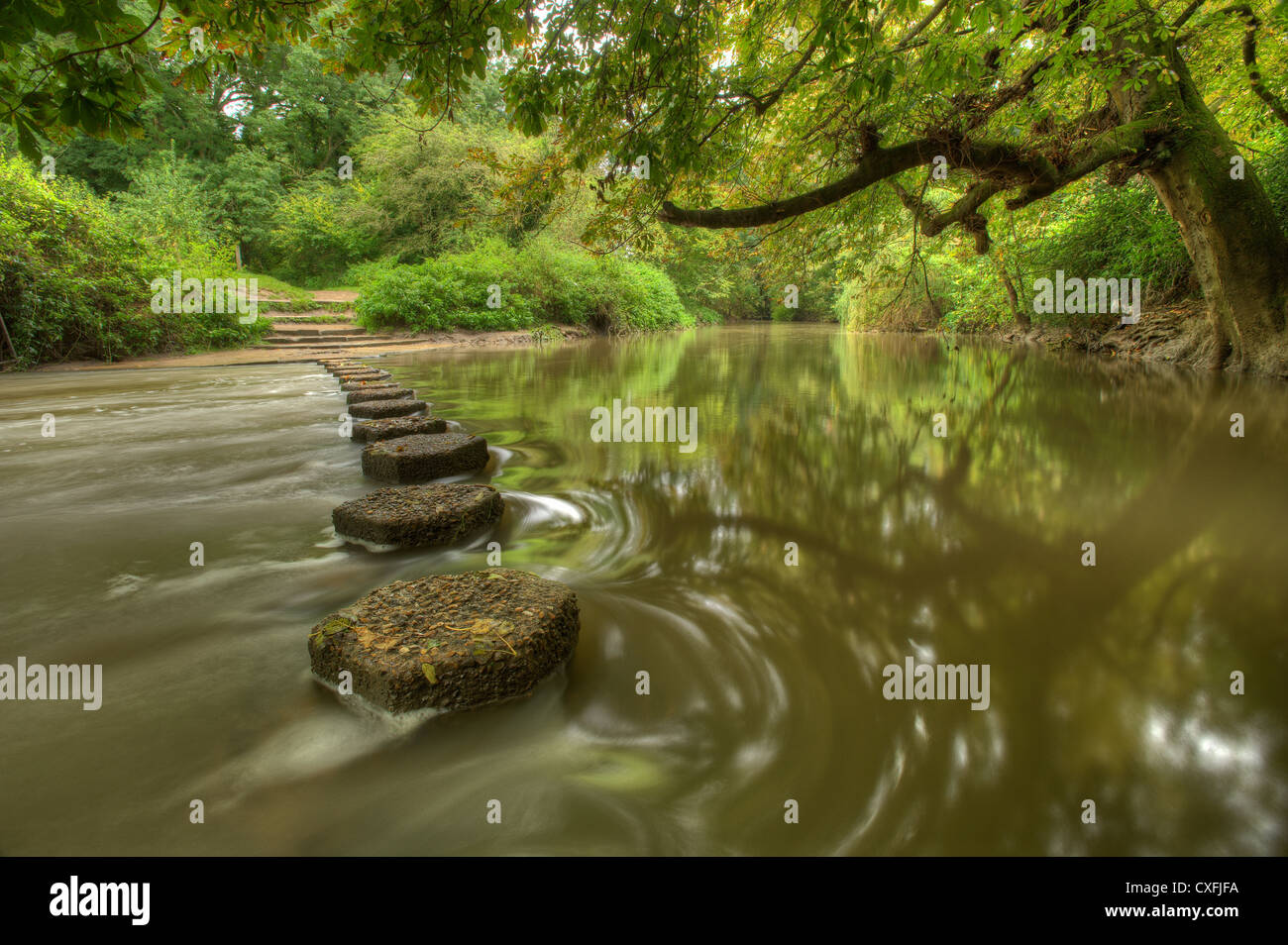 Stepping stone path concrete hi-res stock photography and images - Alamy