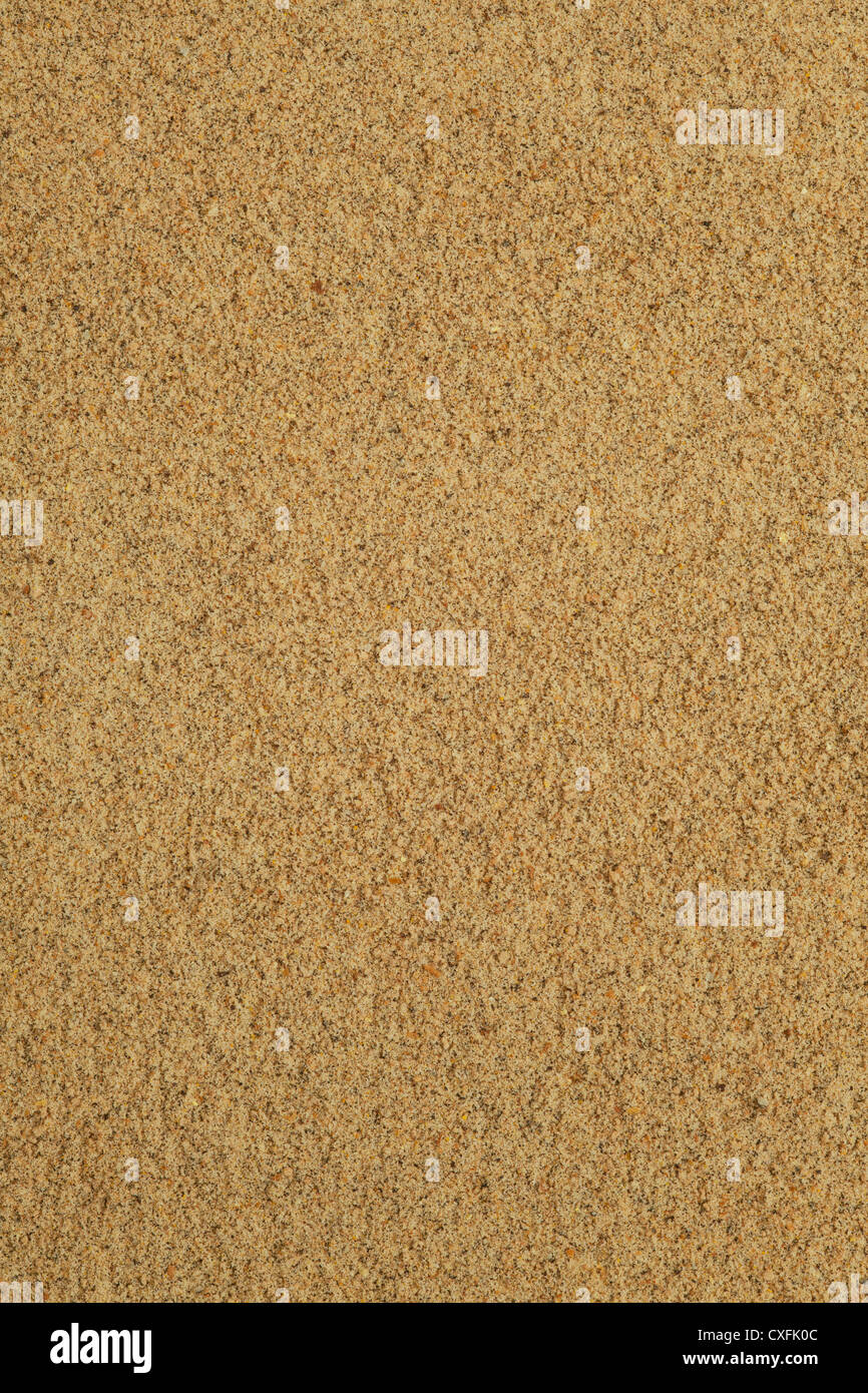 ground cardamom background, food rough powder texture Stock Photo - Alamy