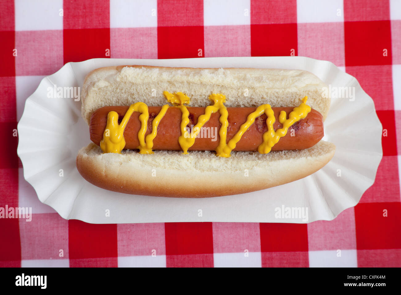Single hot dog with mustard on a red and white gingham tablecloth Stock ...