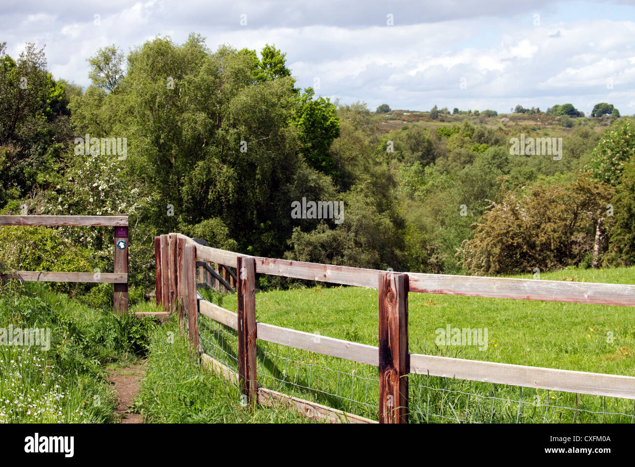 Footpath to Waldridge Fell, County Durham Stock Photo - Alamy