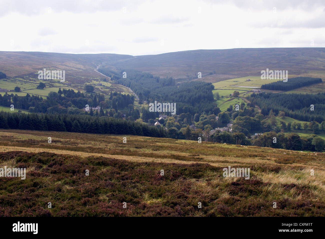 Allenheads hi-res stock photography and images - Alamy