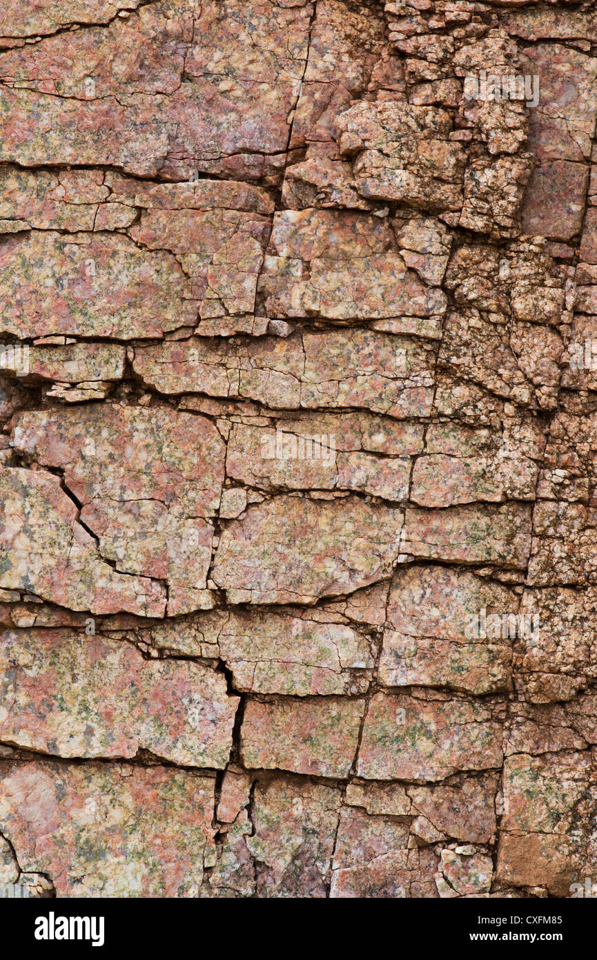 Indian rock structure. Andhra Pradesh, India Stock Photo - Alamy