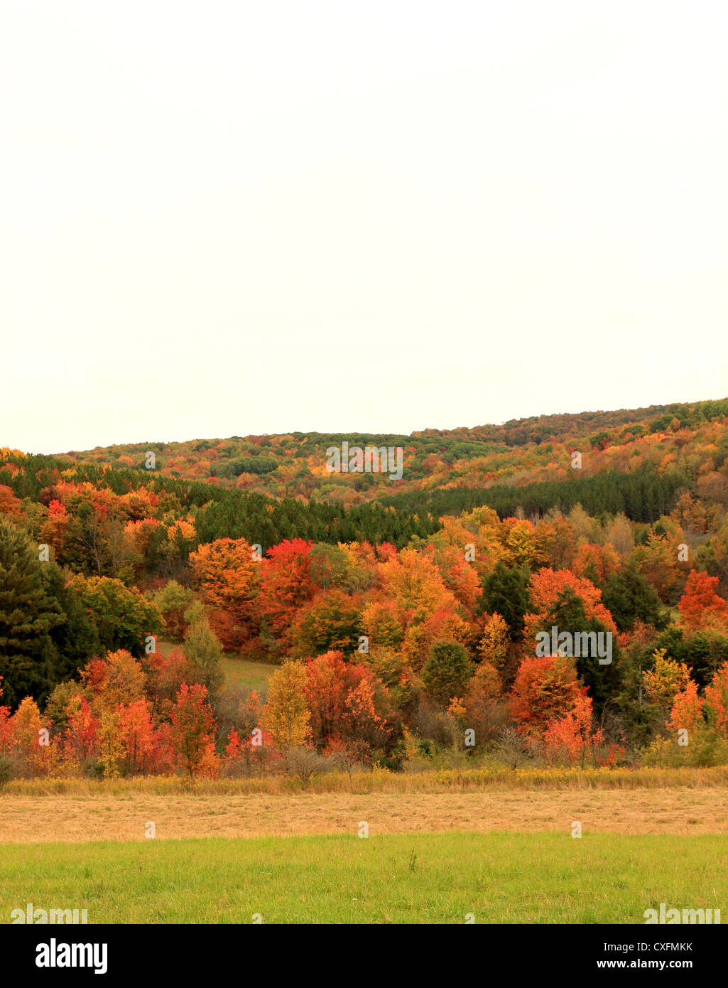 Rural pennsylvania hi-res stock photography and images - Alamy