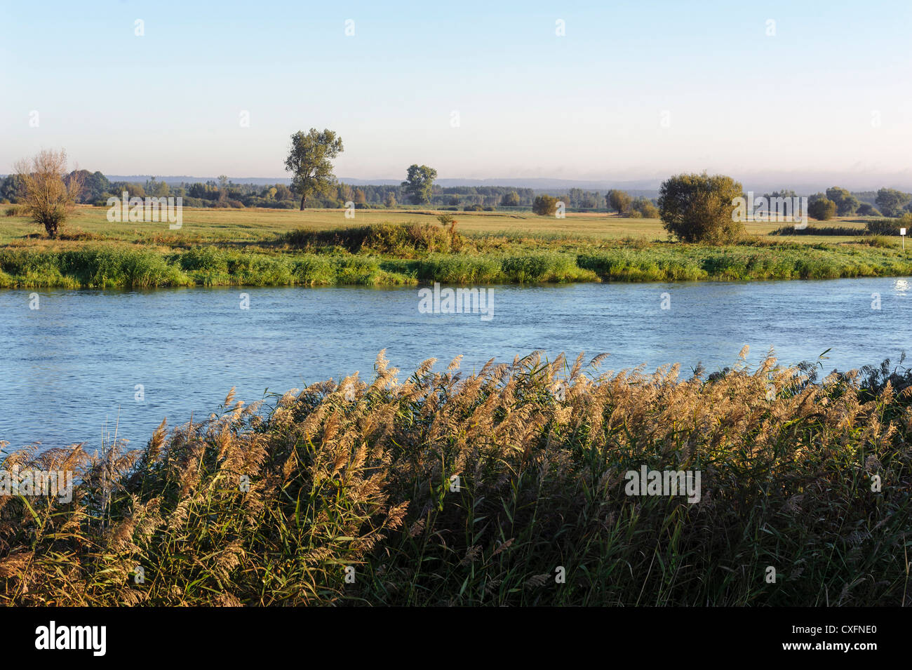 Ujscie warty national park hi-res stock photography and images - Alamy