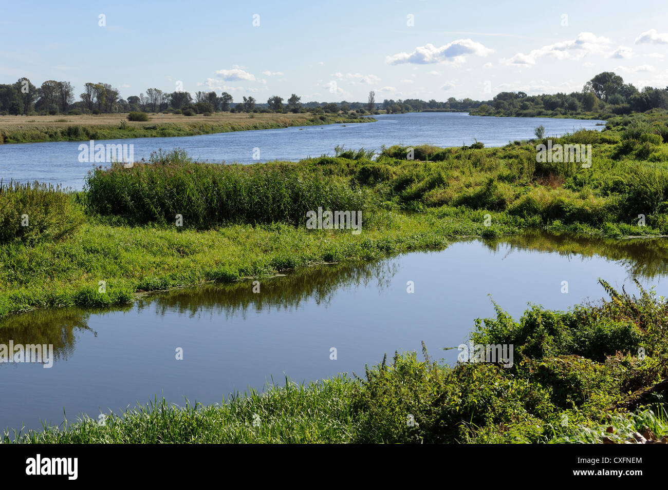 River Warta in National park mouth of Warta, (Park Narodowy Ujscie ...
