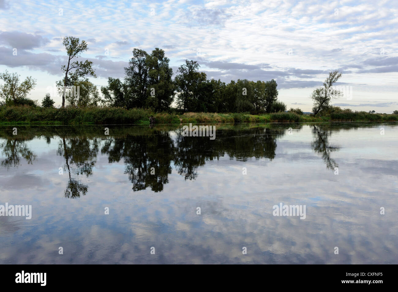 River Warta in National park mouth of Warta, (Park Narodowy Ujscie ...