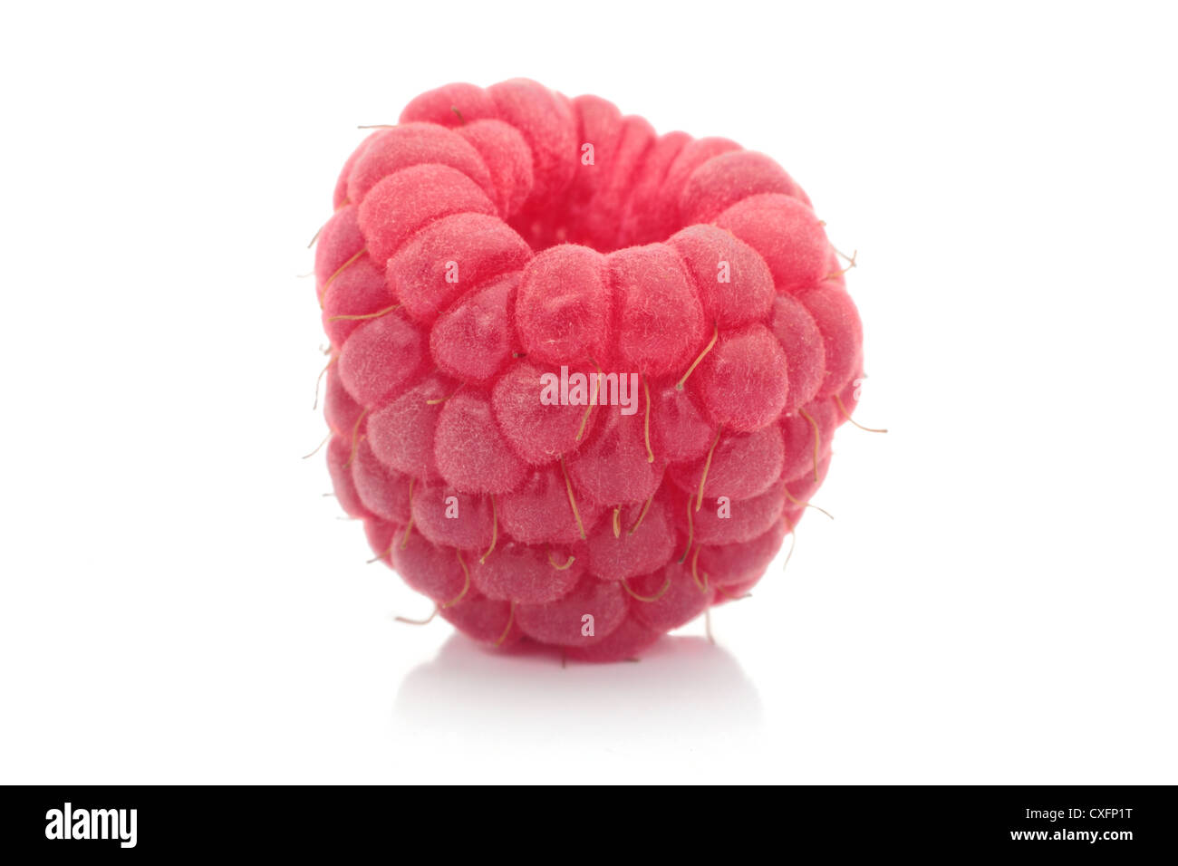 Raspberry isolated on a white background with a slight reflection Stock ...