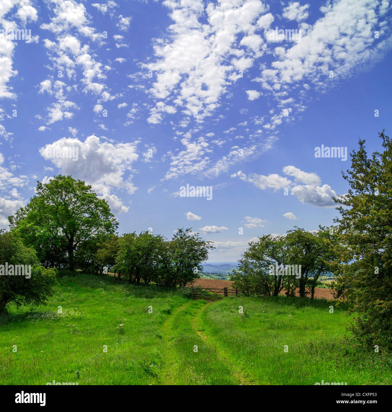 view over countryside and hills Stock Photo - Alamy