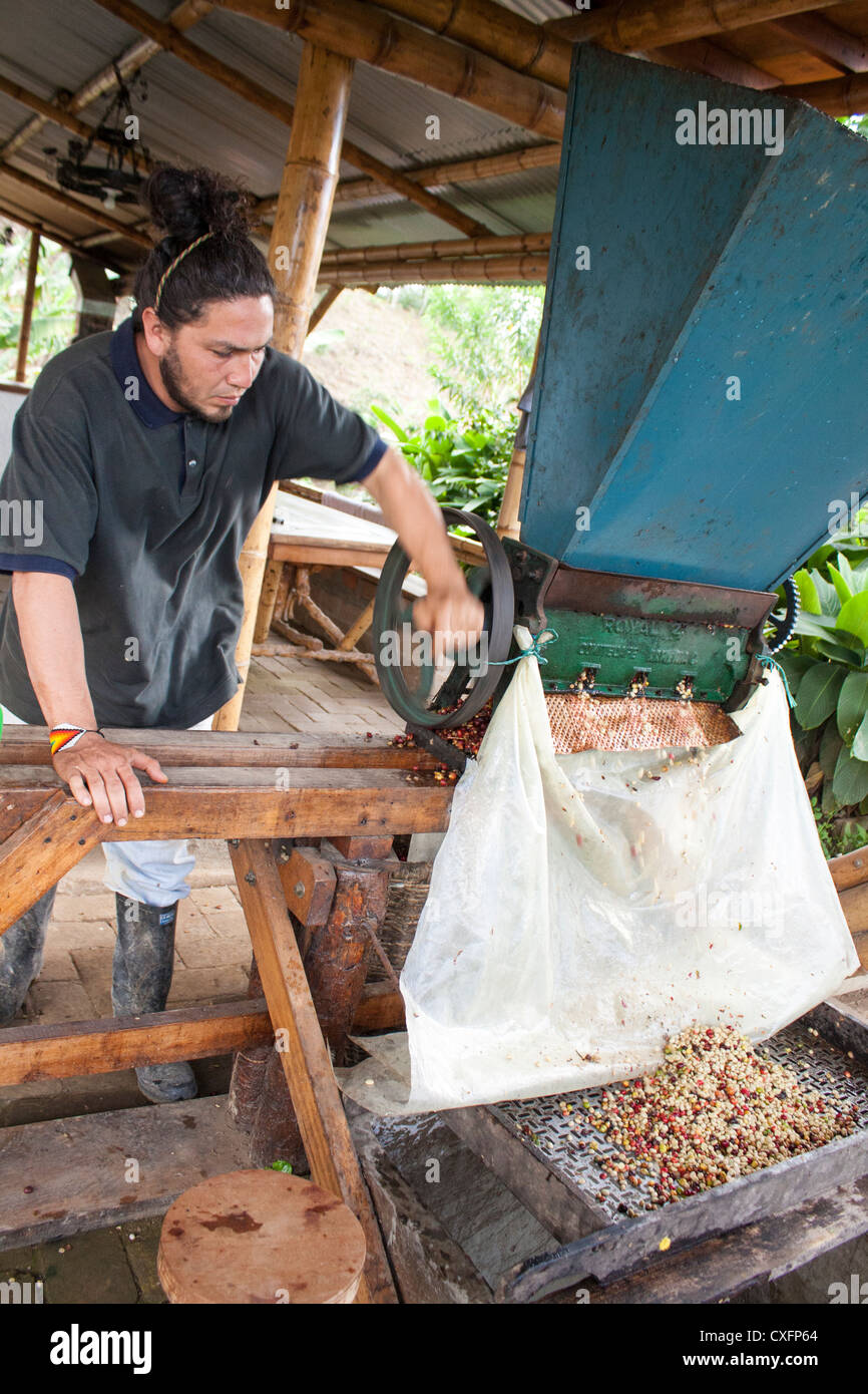 coffee pulping, Colombia Stock Photo - Alamy
