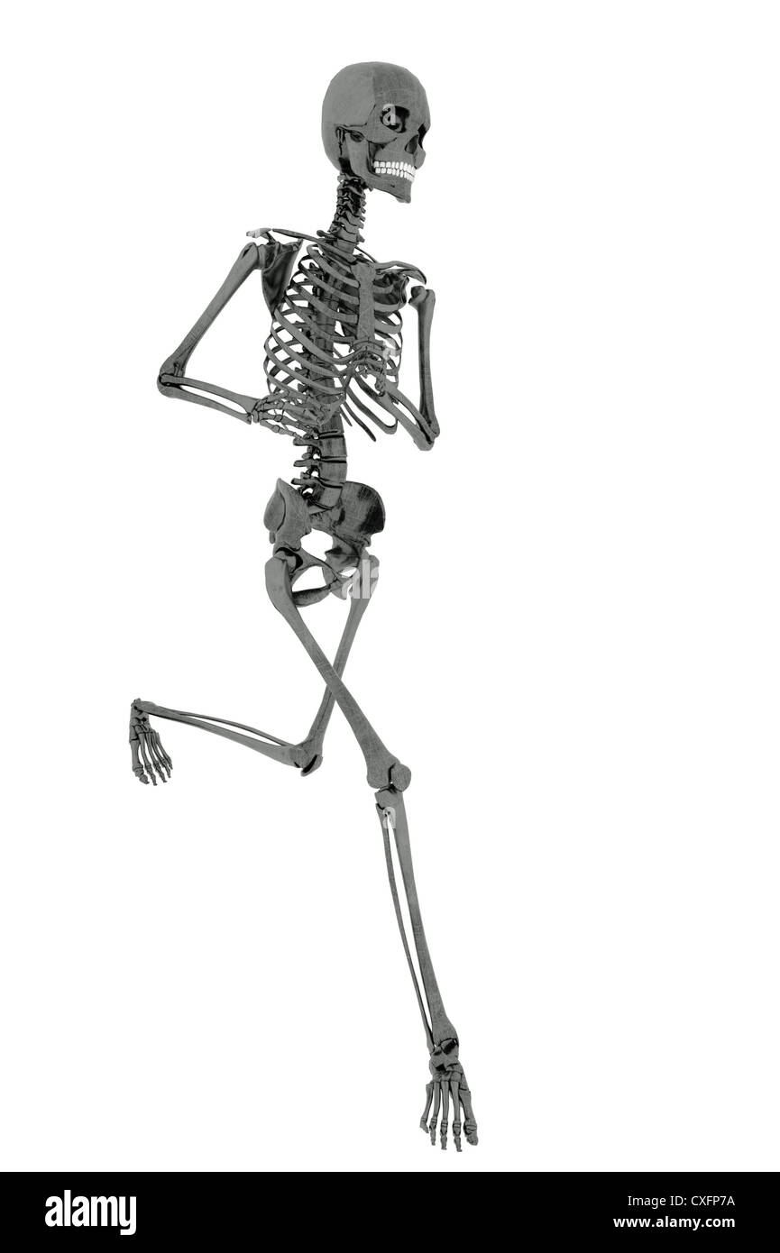 Running Skeleton High Resolution Stock Photography and Images - Alamy