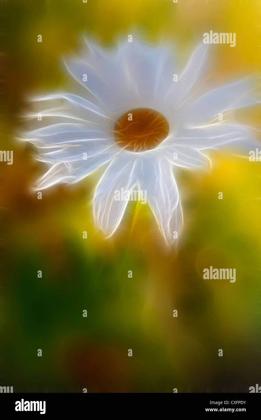 Creative soft focus effect hi-res stock photography and images - Alamy